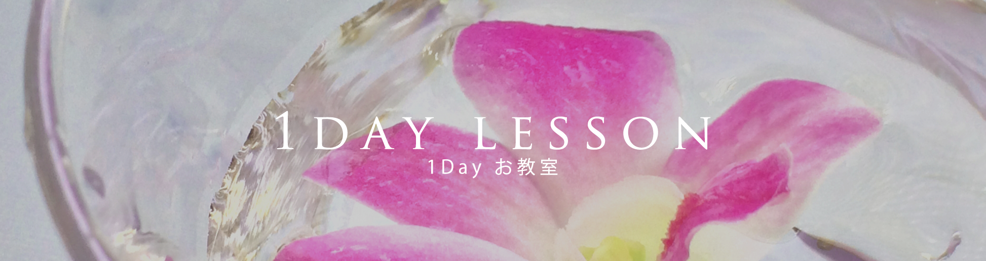 1 DAY LESSON | サロン・ド ・タキモト - salon de Takimoto